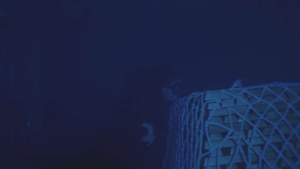 My favorite female scuba fight! - Part 1 - (HD) - Frogwoman Org