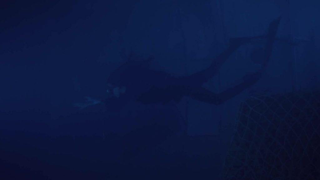 underwater fight Archives - Frogwoman Org