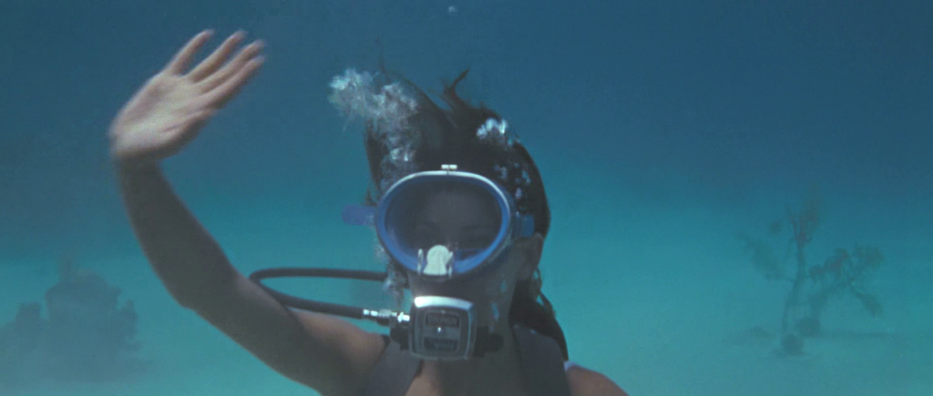 Frogwoman Org - Page 36 of 43 - Female scuba divers in action ...