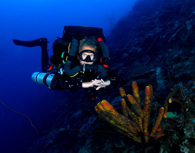 heavy dive gear Archives - Frogwoman Org