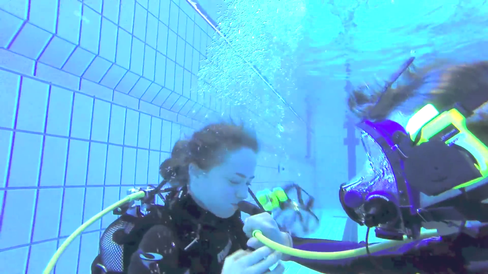 Frogwoman Org - Page 30 of 42 - Female scuba divers in action ...