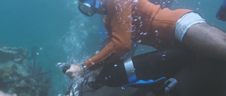 The EPIC final scuba battle - Part 2 - Frogwoman Org