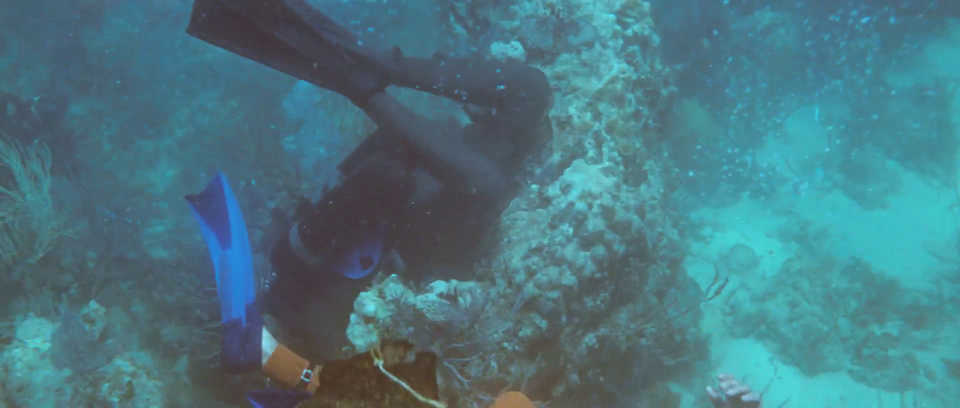 The EPIC final scuba battle - Part 2 - Frogwoman Org