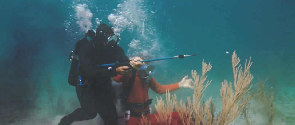 The EPIC final scuba battle - Part 2 - Frogwoman Org