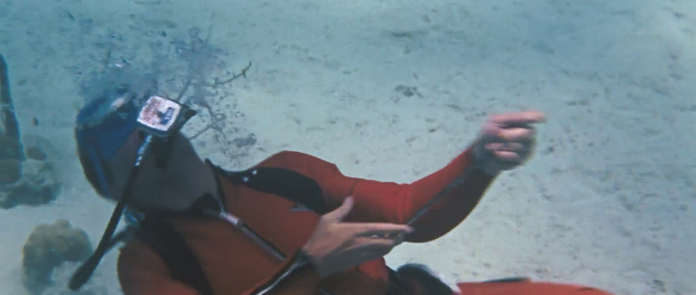 The epic scuba battle - ALL dead/"out of action" divers - A final score ...