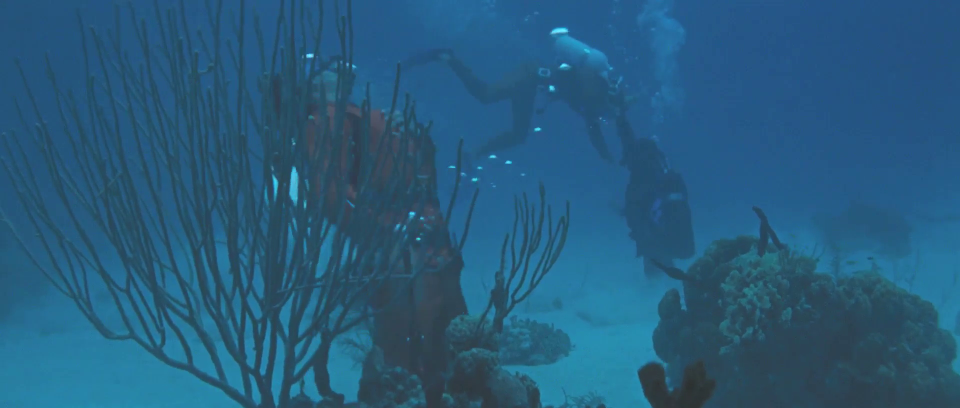 The epic scuba battle - ALL dead/"out of action" divers - A final score ...