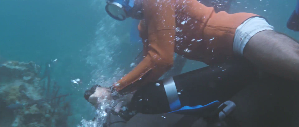 The epic scuba battle - ALL dead/"out of action" divers - A final score ...