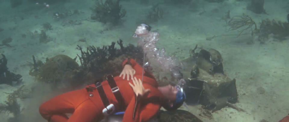 The epic scuba battle - ALL dead/"out of action" divers - A final score ...