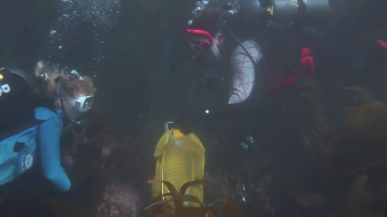 Investigating underwater + drowning battle - [female Baywatch Scuba ...