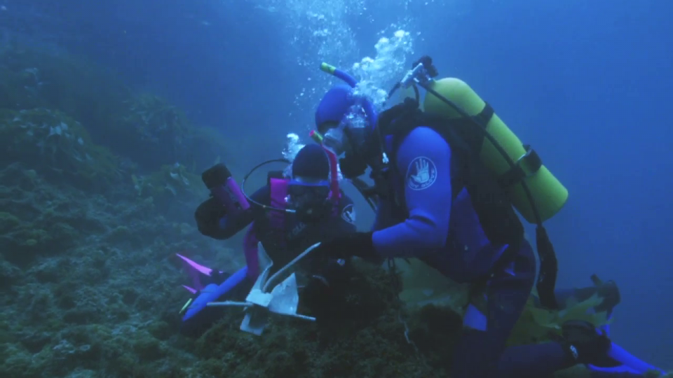 A female diver explores a cave and gets attacked by a submarine ...