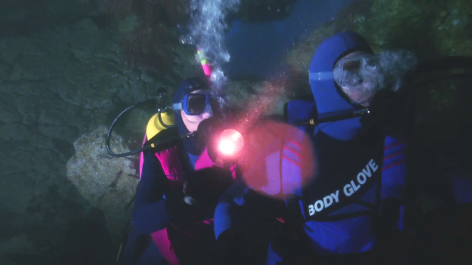 A female diver explores a cave and gets attacked by a submarine ...