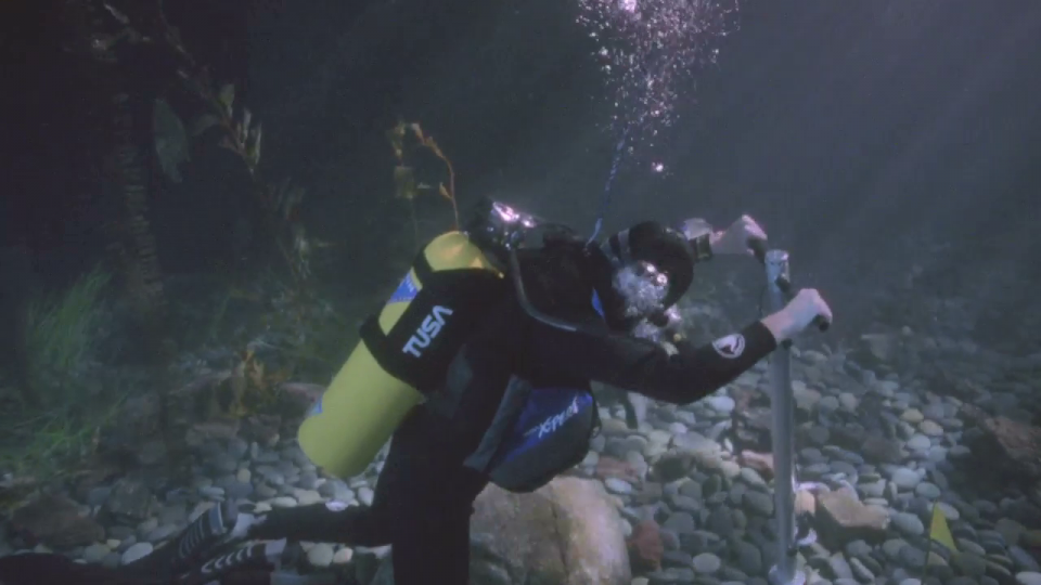 Female diver chased by 2 frogmen ... and more! [female Baywatch Scuba ...