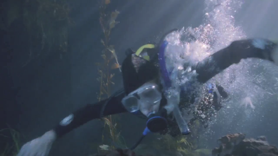 Female diver chased by 2 frogmen ... and more! [female Baywatch Scuba ...