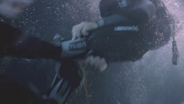 Scuba fight Archives - Page 8 of 18 - Frogwoman Org