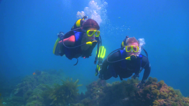 scuba battle Archives - Frogwoman Org