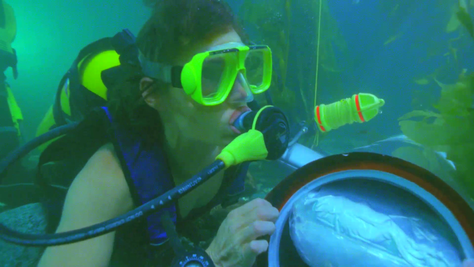 scuba battle Archives - Frogwoman Org