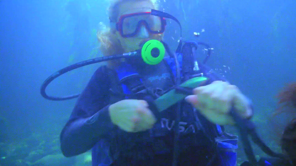 scuba battle Archives - Frogwoman Org