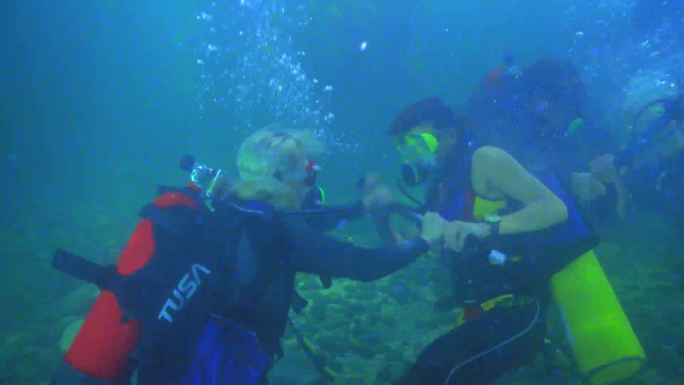 scuba battle Archives - Frogwoman Org