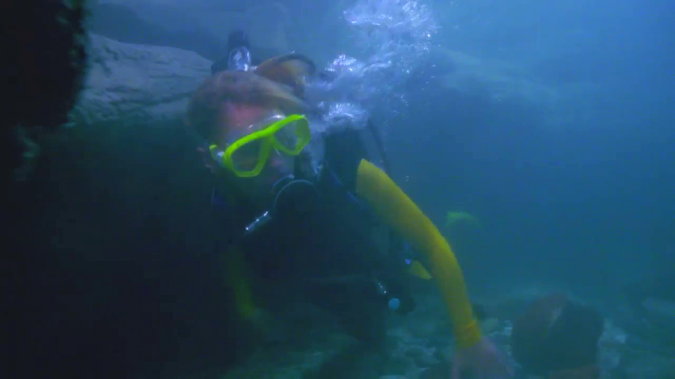 Pamela Anderson, a guy and a mermaid [female Baywatch Scuba scenes in ...