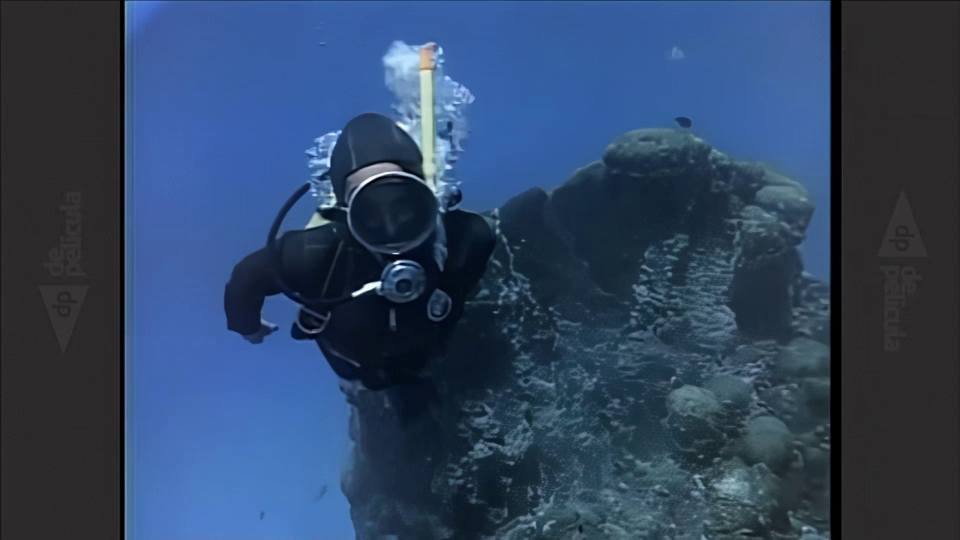 Scuba comics (with female divers in action/peril) Archives - Frogwoman Org