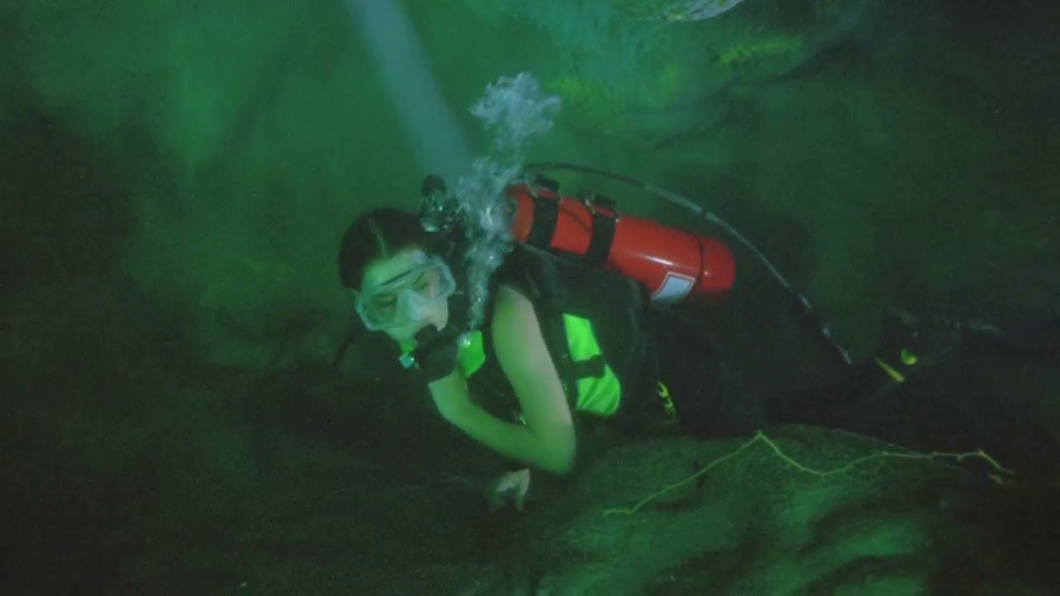 carmen electra Archives - Frogwoman Org