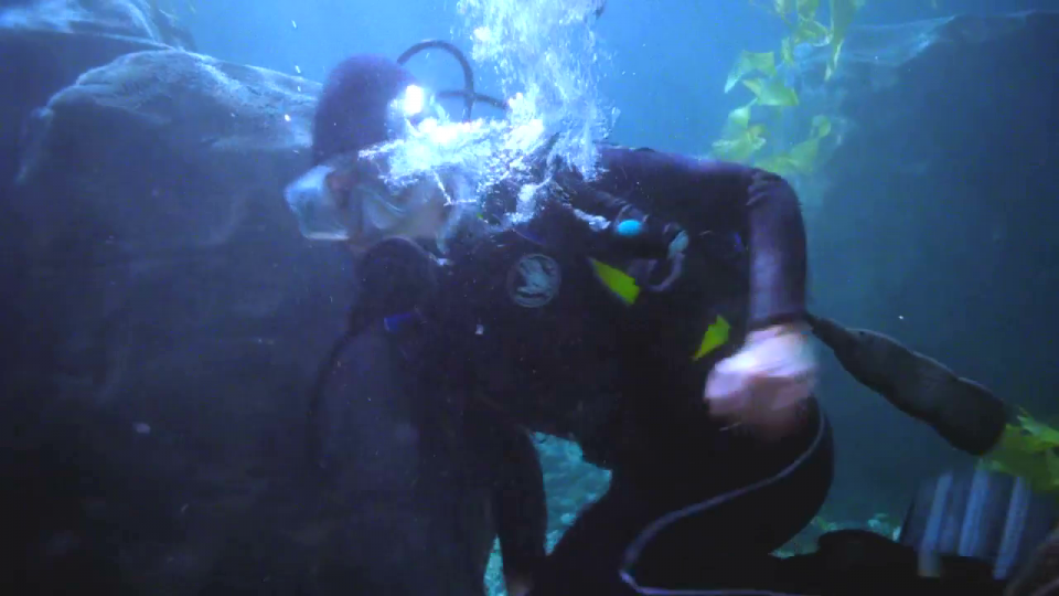 An evil frogwoman on treasure hunt [female Baywatch Scuba scenes in HD ...