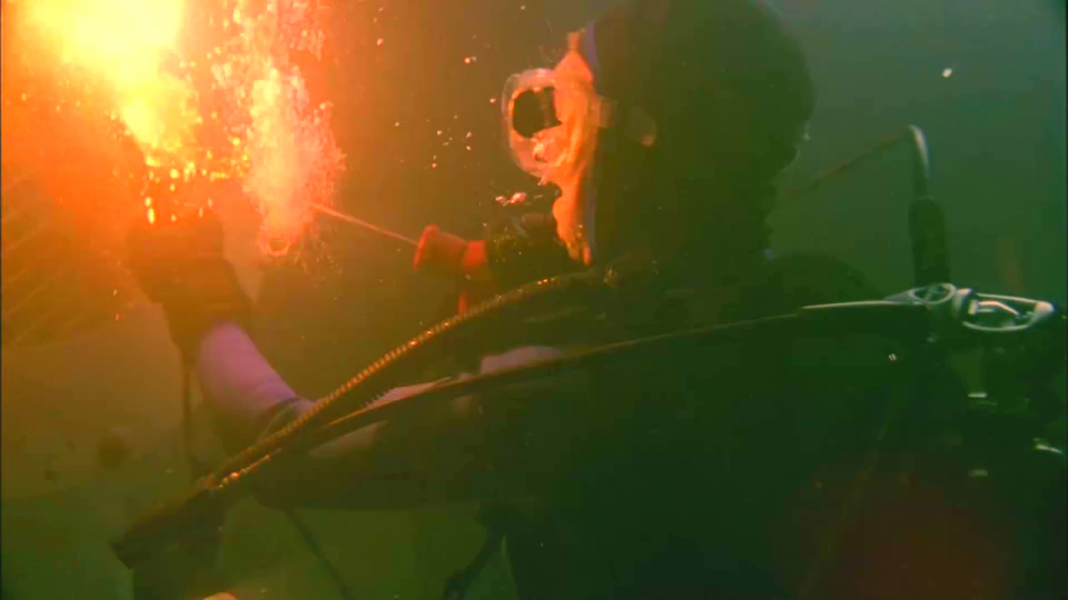 alias Archives - Frogwoman Org