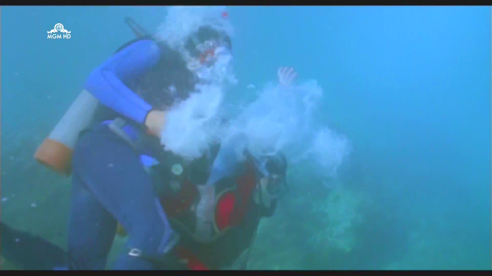 Scuba fight Archives - Page 8 of 18 - Frogwoman Org