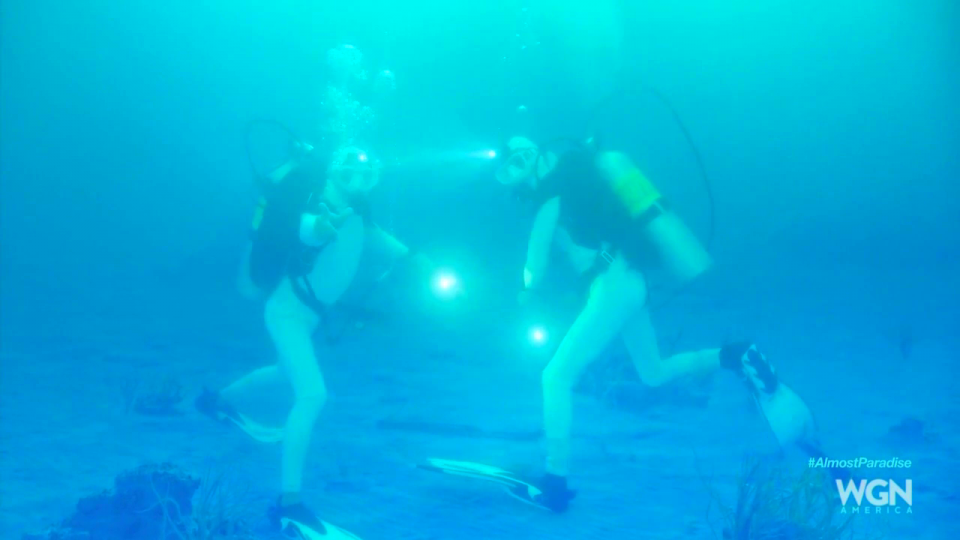 scuba kill Archives - Frogwoman Org