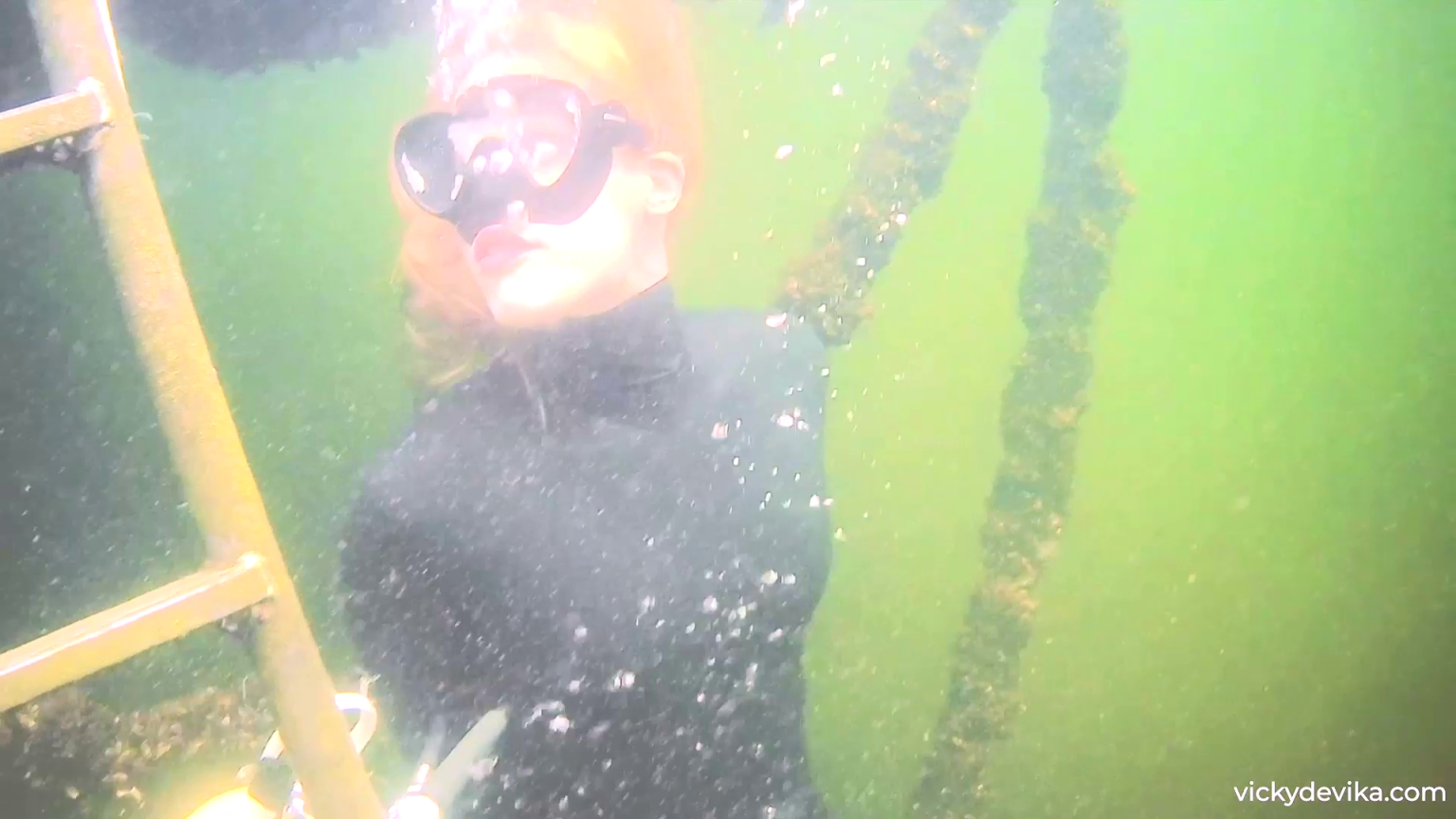 underwater peril Archives - Frogwoman Org