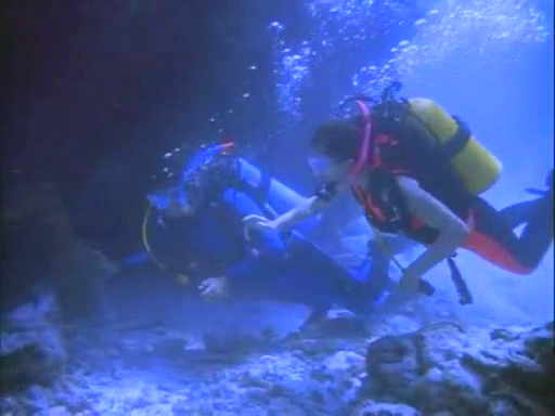 Frogwoman Org - Page 13 of 41 - Female scuba divers in action ...