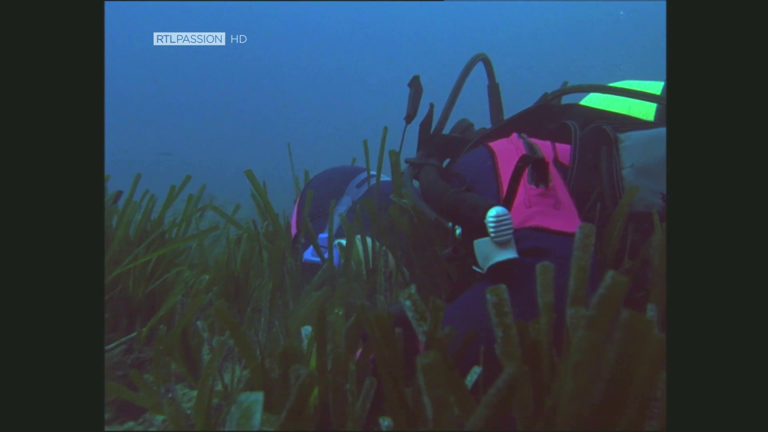 Frogwoman Org - Page 23 of 74 - Female scuba divers in action ...