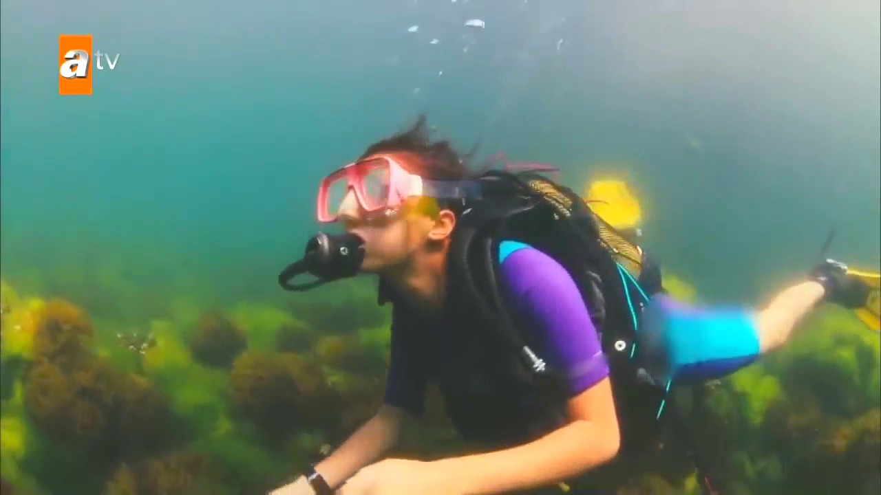 Scuba Peril Archives - Page 4 of 19 - Frogwoman Org