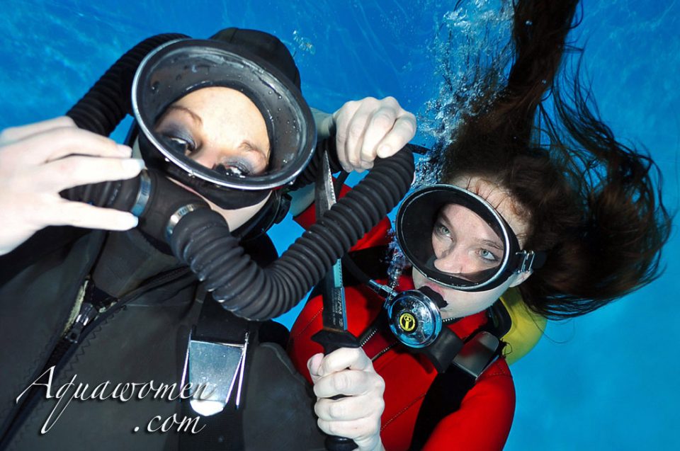 Your opinion! - Frogwoman Org