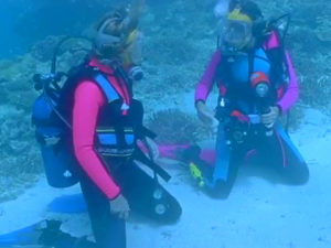 Frogwoman Org - Page 23 of 77 - Female scuba divers in action ...