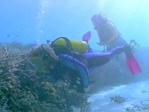 Frogwoman Org - Page 23 of 78 - Female scuba divers in action ...