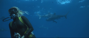 Frogwoman Org - Page 23 of 78 - Female scuba divers in action ...