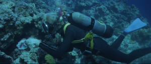 Frogwoman Org - Page 23 of 78 - Female scuba divers in action ...