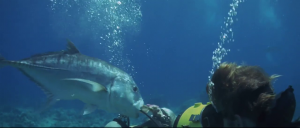 Frogwoman Org - Page 23 of 78 - Female scuba divers in action ...