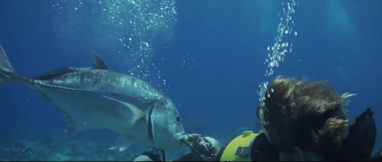 Frogwoman Org - Page 23 of 78 - Female scuba divers in action ...