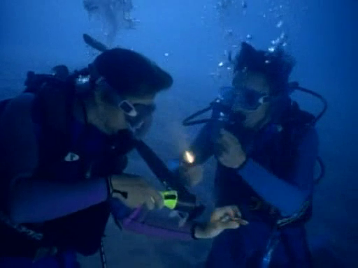 Frogwoman Org - Page 8 of 41 - Female scuba divers in action, including ...