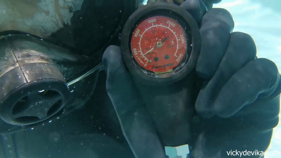 Vicky Devika Archives - Frogwoman Org