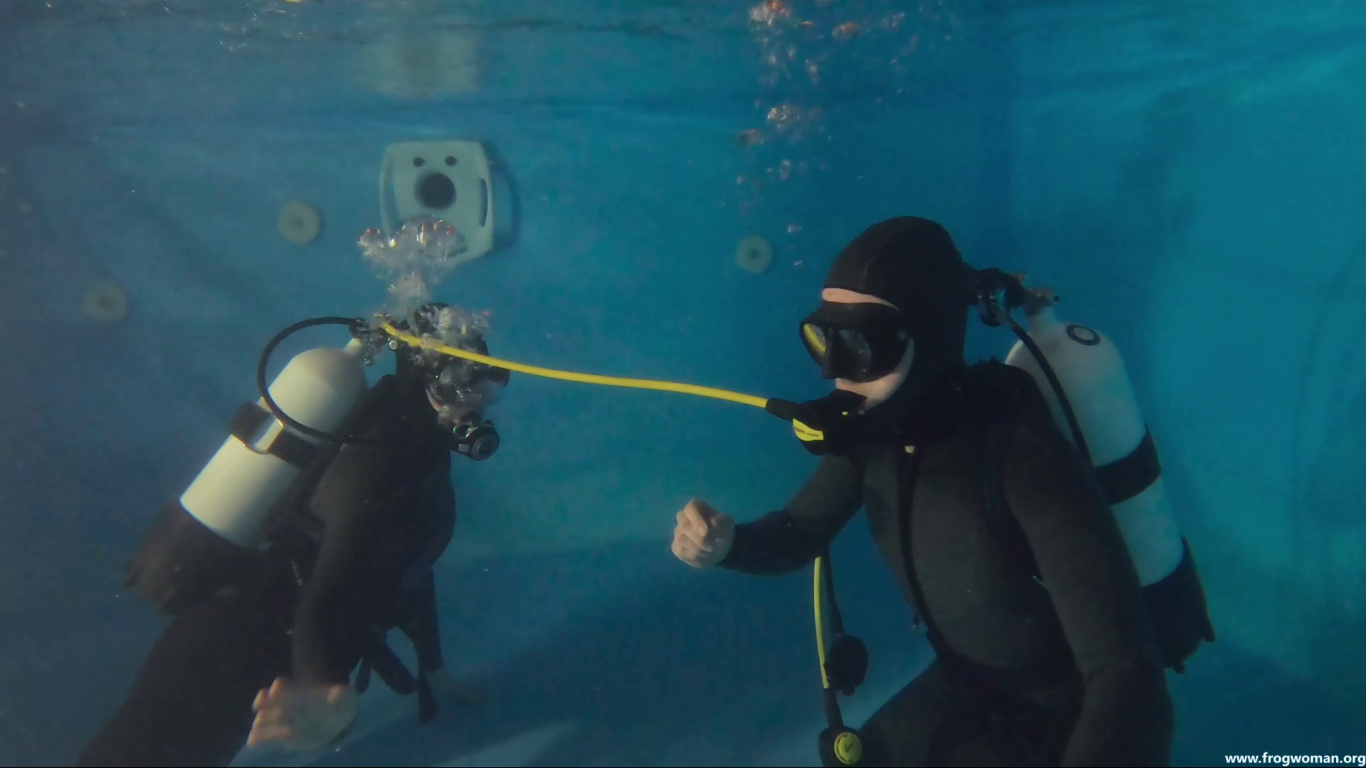 scuba fight Archives - Page 2 of 7 - Frogwoman Org