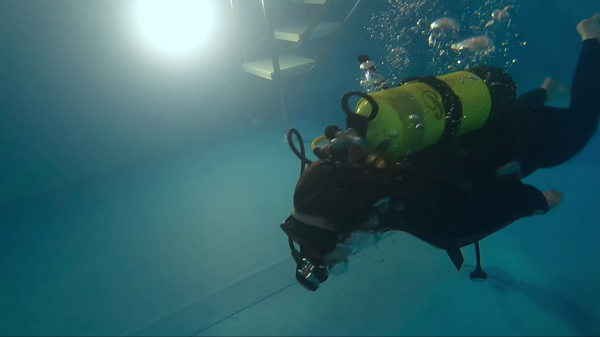 Project F - Videos - Frogwoman Org