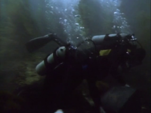 Scuba Peril Archives - Page 2 of 19 - Frogwoman Org