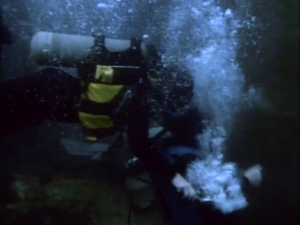 Frogwoman Org - Page 3 of 40 - Female scuba divers in action, including ...