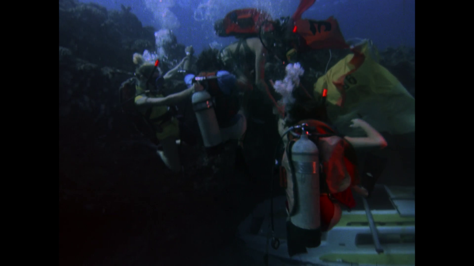 Frogwoman Org - Page 13 of 76 - Female scuba divers in action ...