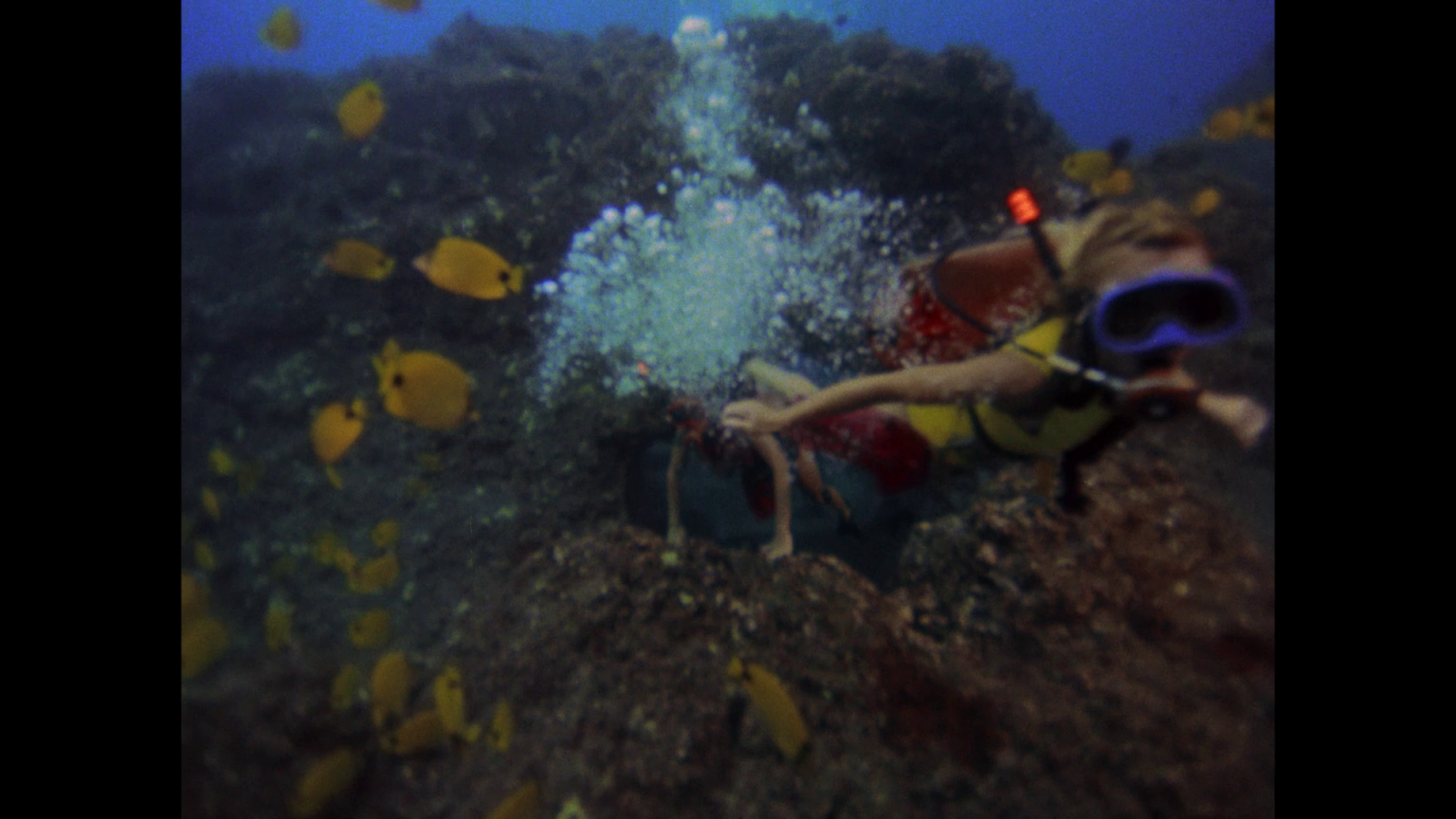 Frogwoman Org - Page 13 of 76 - Female scuba divers in action ...