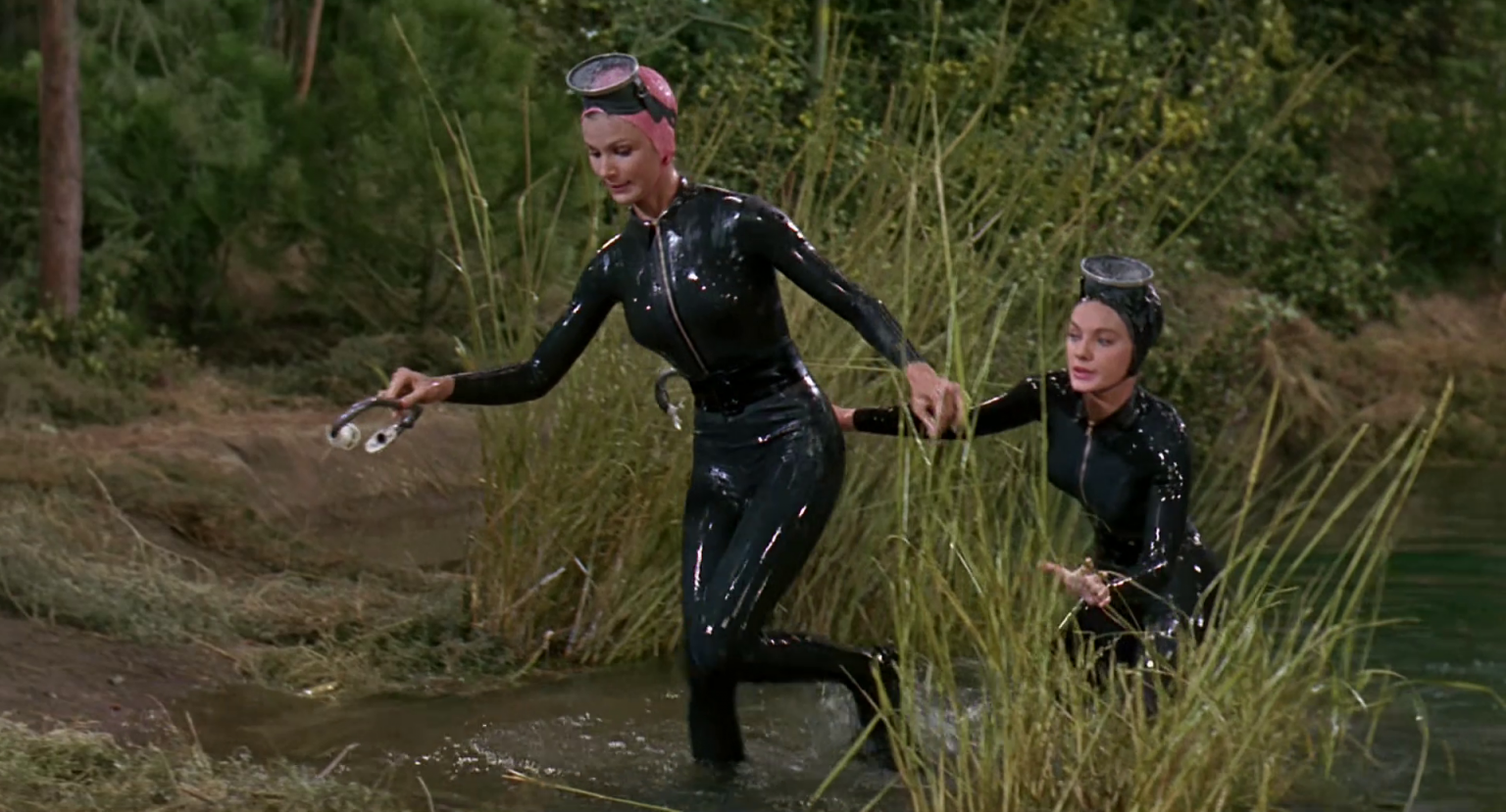 Frogwoman - Hall of Fame - Frogwoman Org