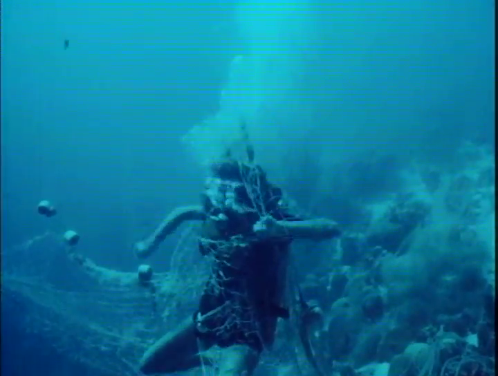 Frogwoman Org - Page 3 of 42 - Female scuba divers in action, including ...